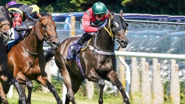 Fundraiser by kelly flatt : Helping Zak