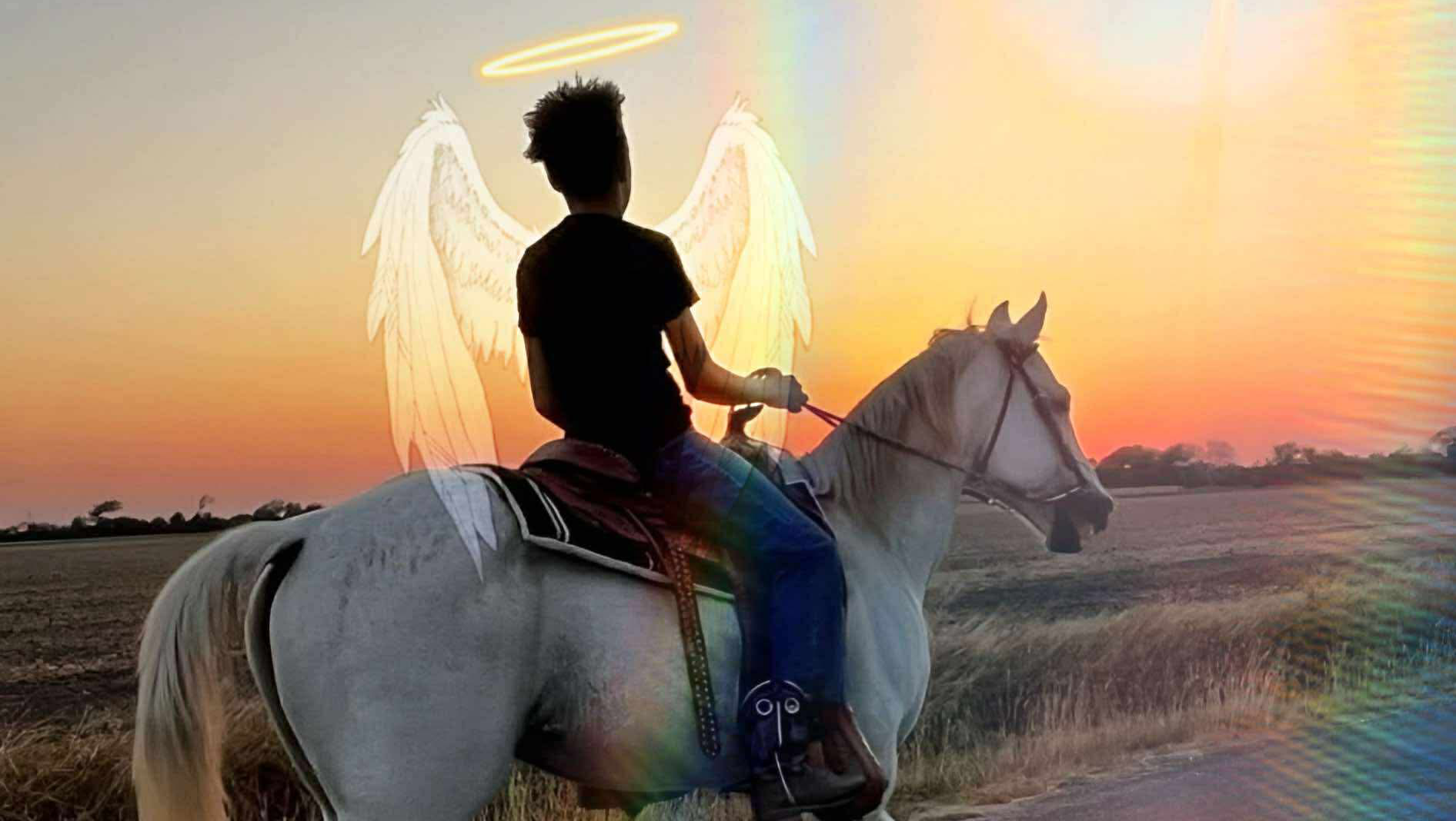 Fundraiser by Chelsea Robinson : Donation in memory of D-man