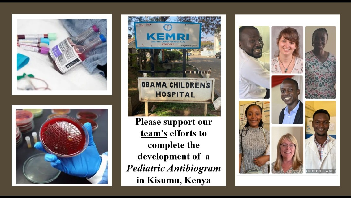 Fundraiser by Lucia Janovicova : Support Kisumu's Pediatric Antibiogram ...
