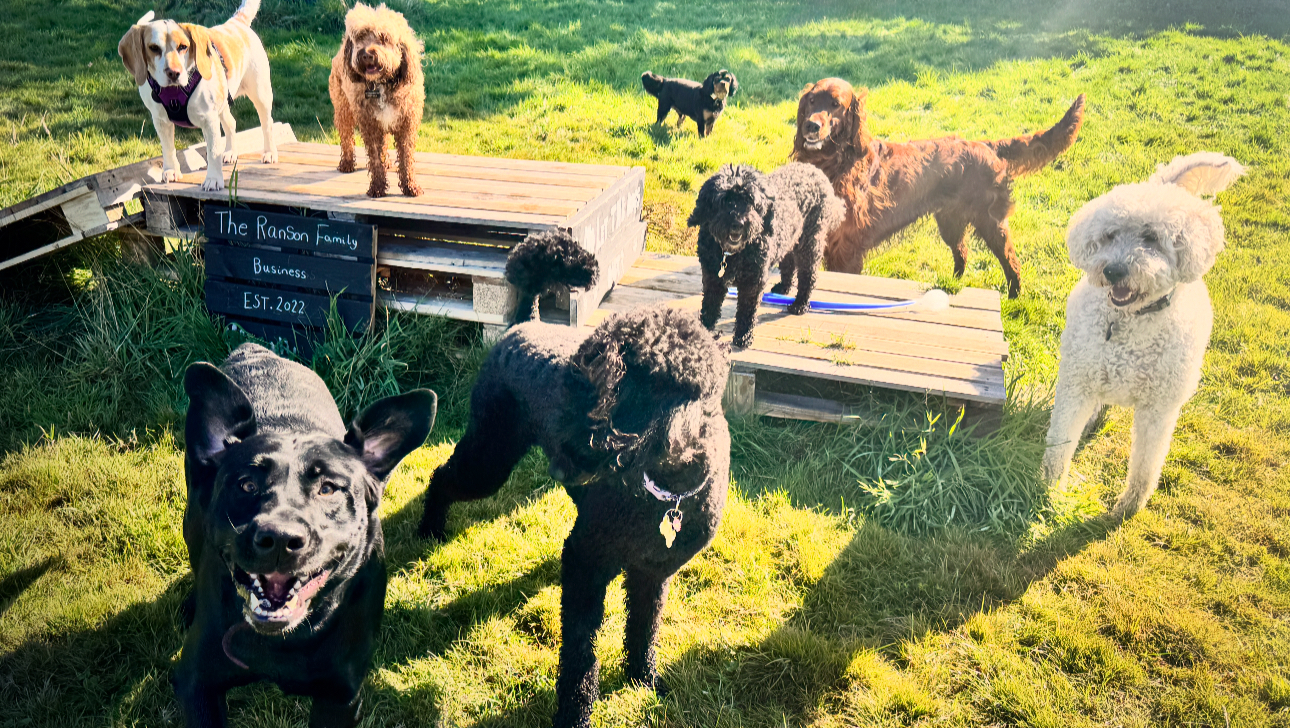 Fundraiser by Pip Hastings : Ruff Weather Relief Fund!