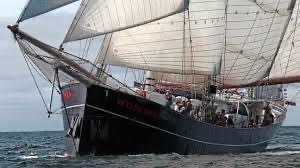 Fundraiser for Wendy Gooren by Rune Kobes : Help Rune zeilen naar zijn ...