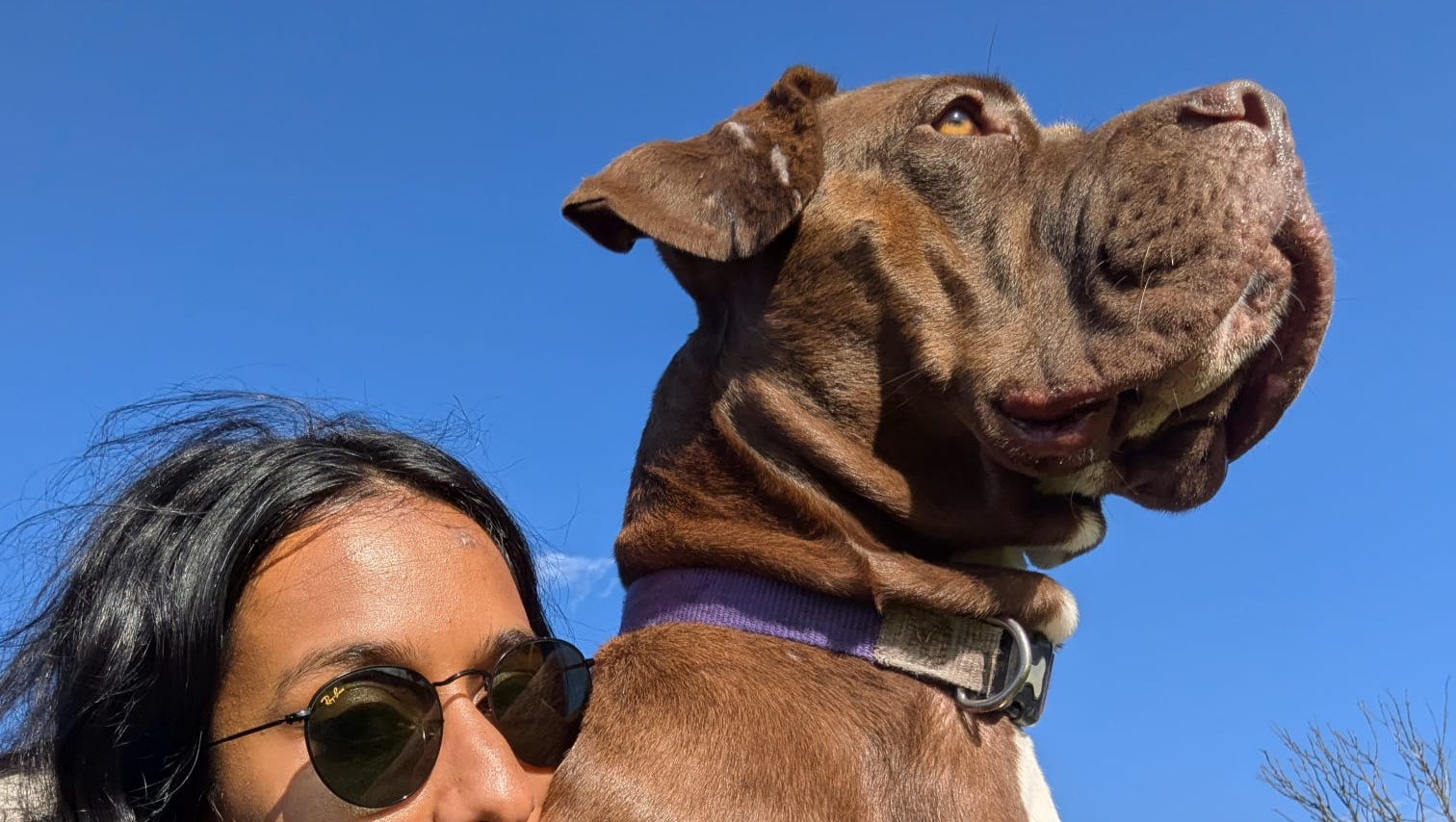 Fundraiser by Alison Gallagher : Help Coco & Bruno