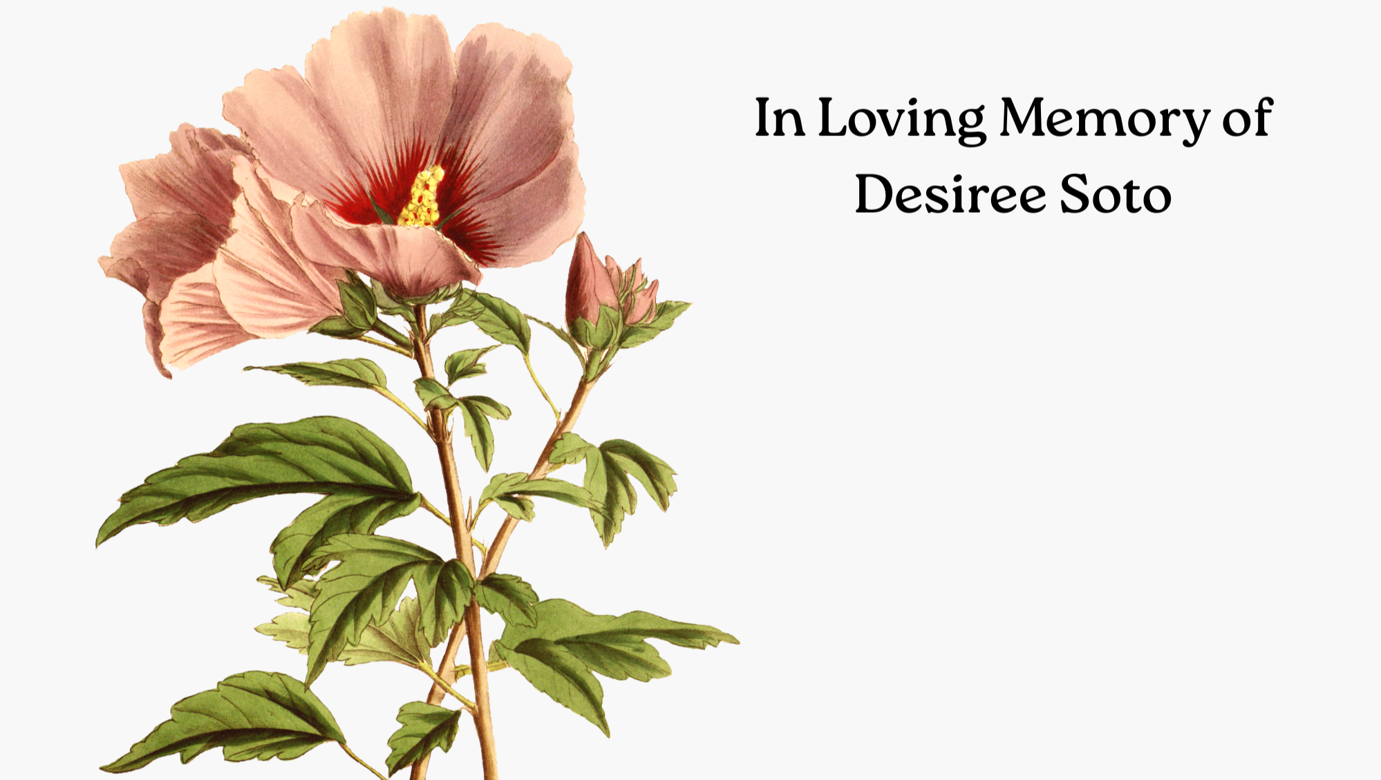 Fundraiser for Bobby Soto by Liam Mullan : In Loving Memory of Desiree Soto