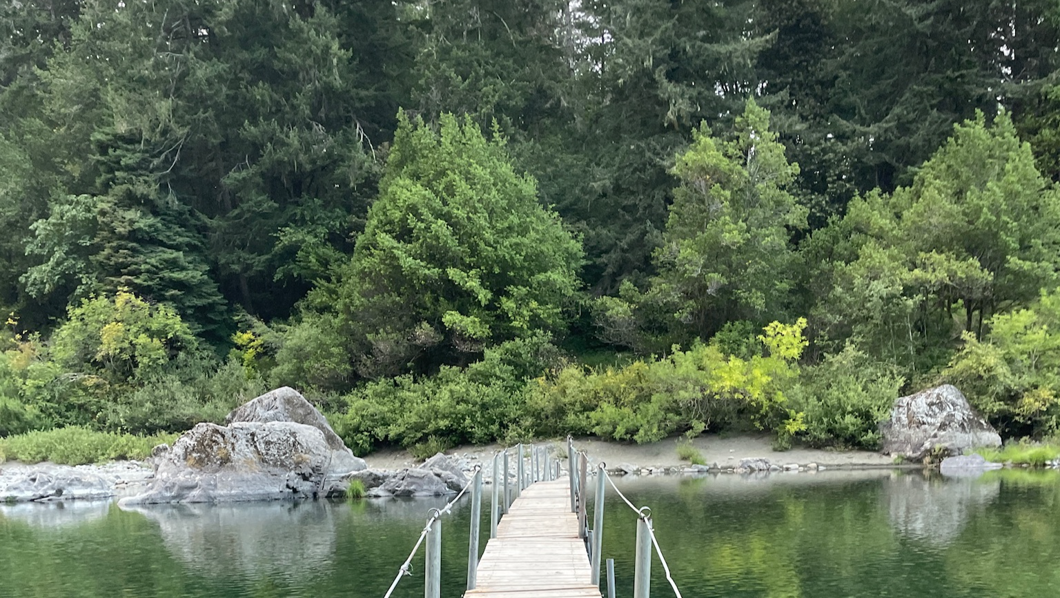 Fundraiser by Becky Arnett : ~Support Becky in Becoming a Forest ...