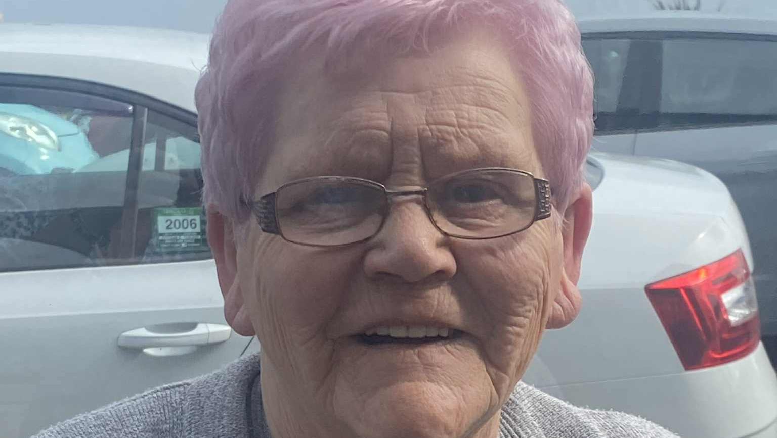 Fundraiser by liv jackson : Help Sylvia Come Home