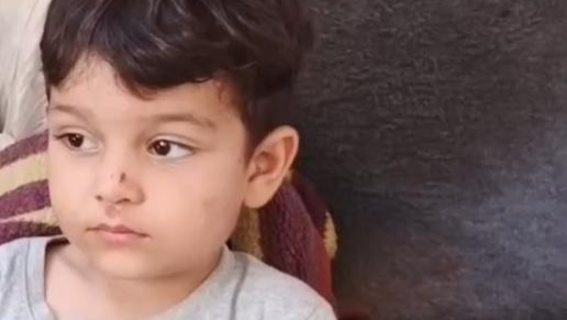 Fundraiser by muhammad ali : Help Muhammad Ali Feed His Family