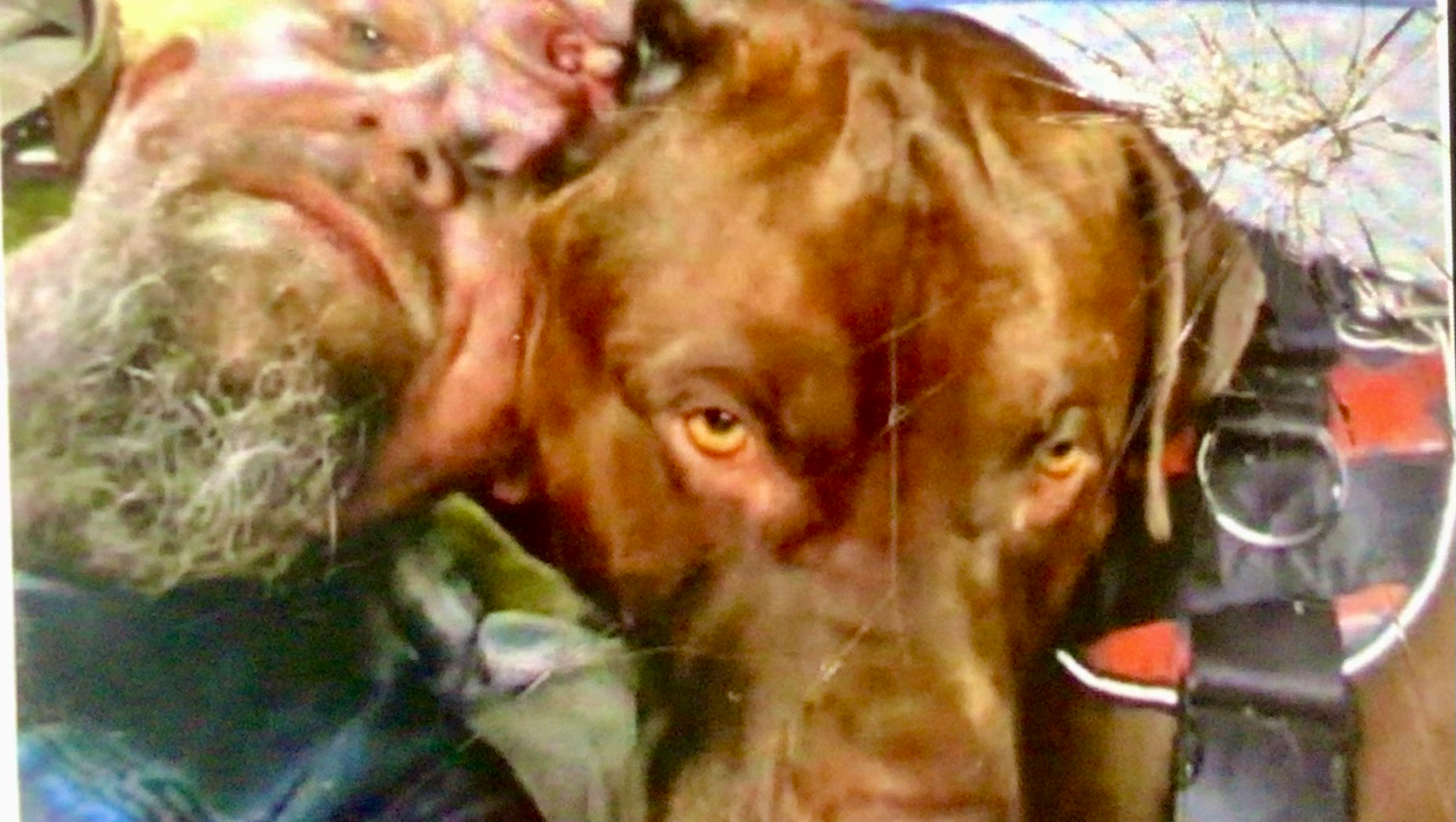 Fundraiser by cassie driver : Support Aaron and Artie in Their Time of Need