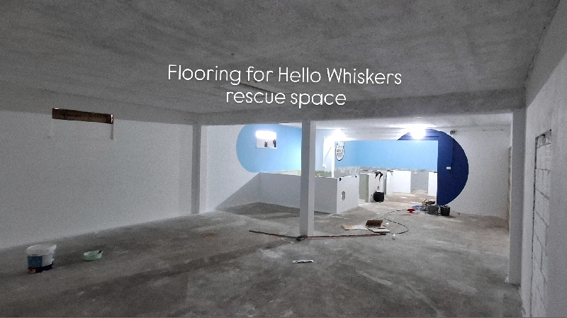 Fundraiser by Hello Whiskers : Flooring the Future for Hello Whiskers ...