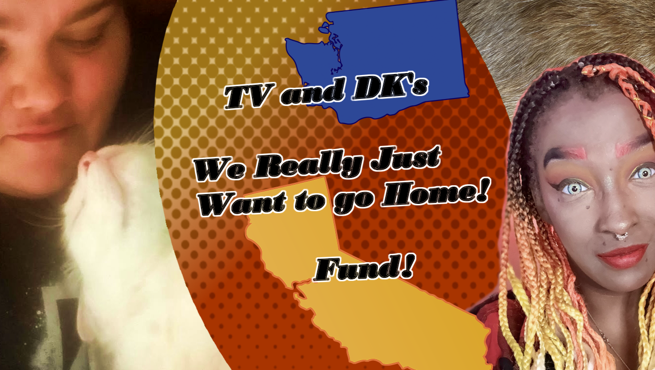 Fundraiser by TV Farrell : Help TV and DK Go Home