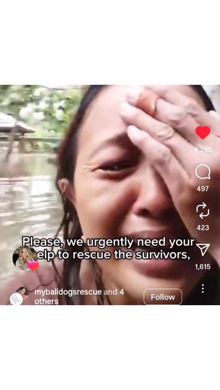 Fundraiser by Andrea Michalchuk : Emergency: Help Eta’s Dog Sanctuary ...
