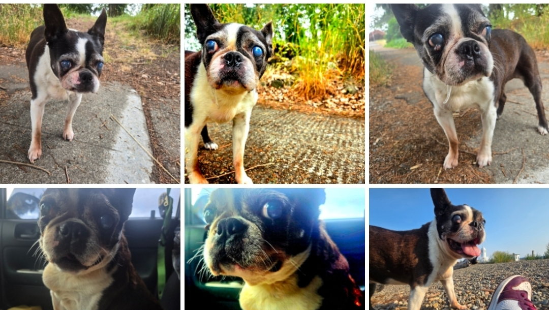 Fundraiser by Ryan Cites : Justice For Lucy Loo!!