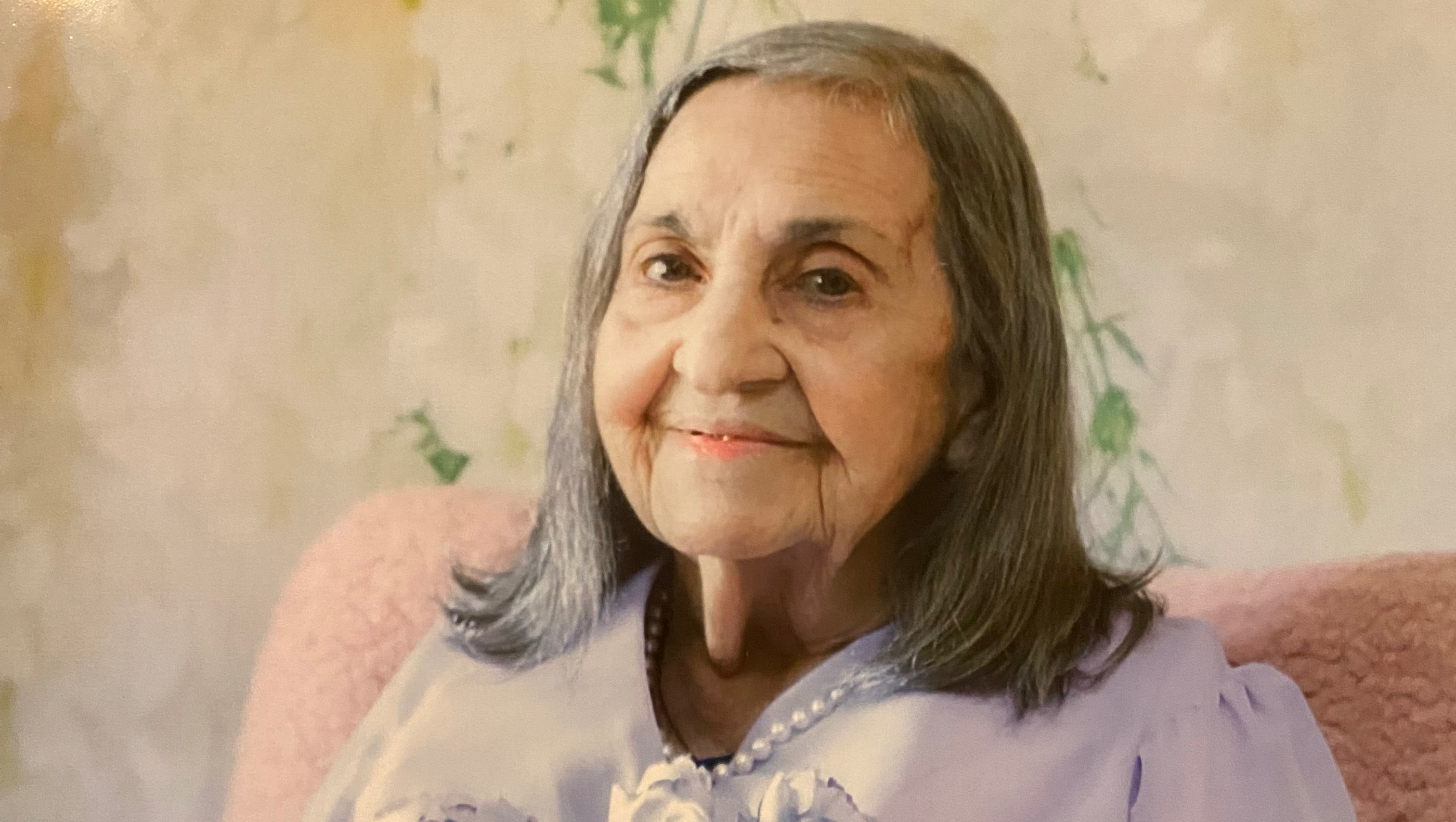 Fundraiser by Ariela Johnson : Ana T. Pino