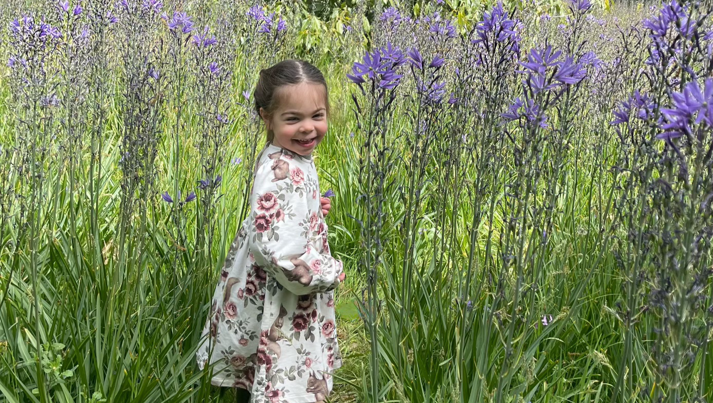 Fundraiser for George Sciouris by Rachel Tzortzis : Esme & The Sciouris ...