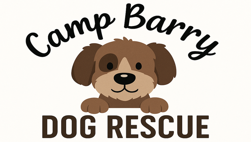 Fundraiser by Camp Barry Inc : Rebuilding Camp Barry — A Rescue and ...