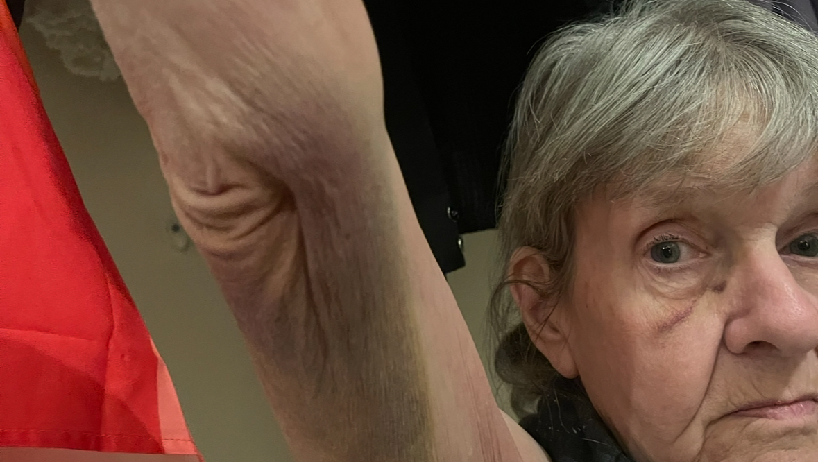 Fundraiser for Valerie Levine by Gail Coons Davis : Lawyer fee to ...