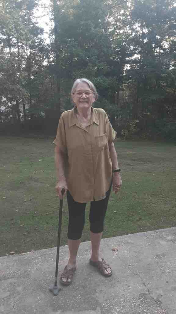 Fundraiser by Susan Ledbetter : Help Susan Heal from Lyme Disease
