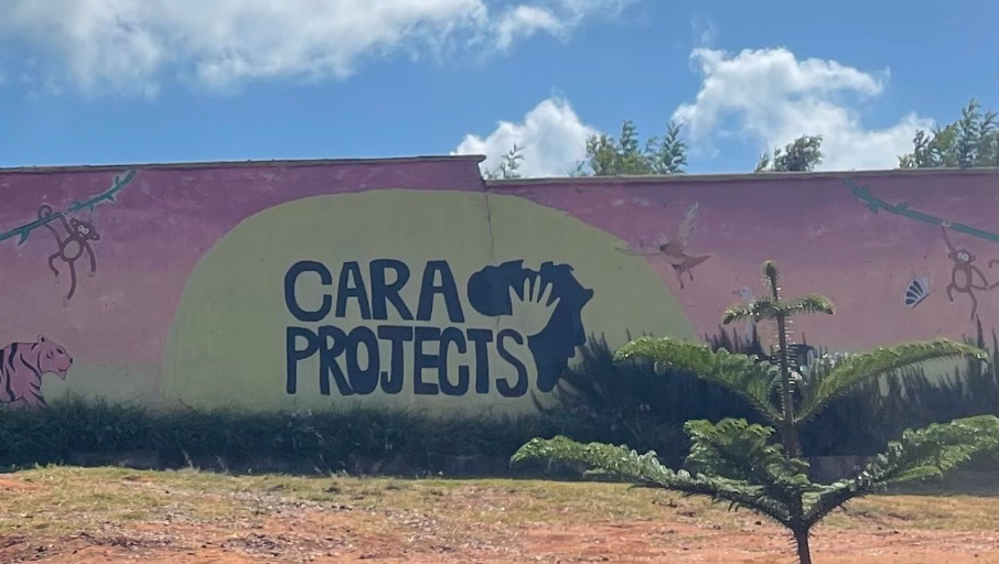 Fundraiser by Shannon Carey : Cara projects 2026