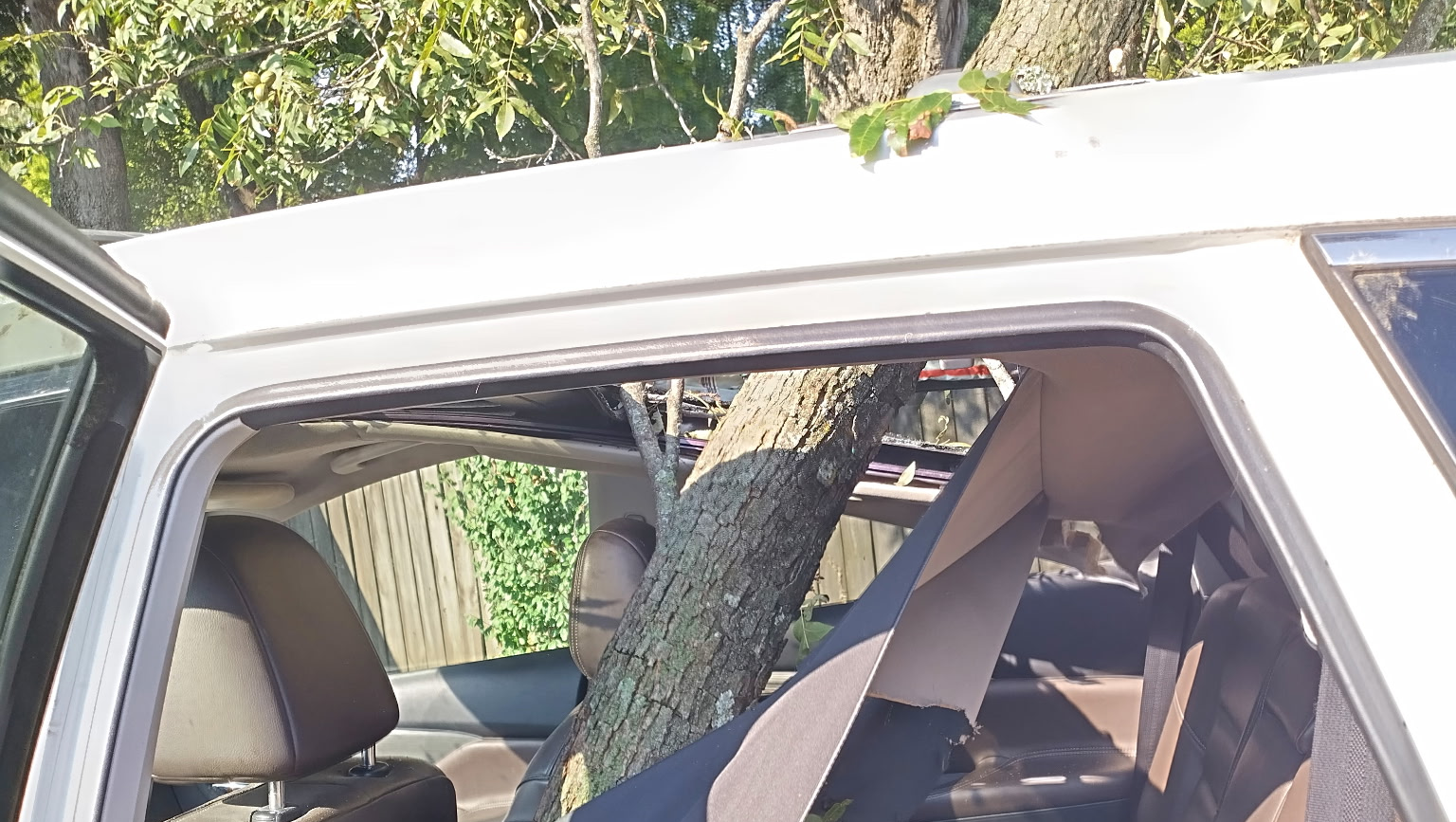 Fundraiser by Jessica Wigley : Donate to Fix Car Damaged by Fallen Tree ...
