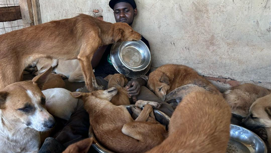 Fundraiser by Susanne Auen : Help Us Fight Hunger Dog Food For Two Months