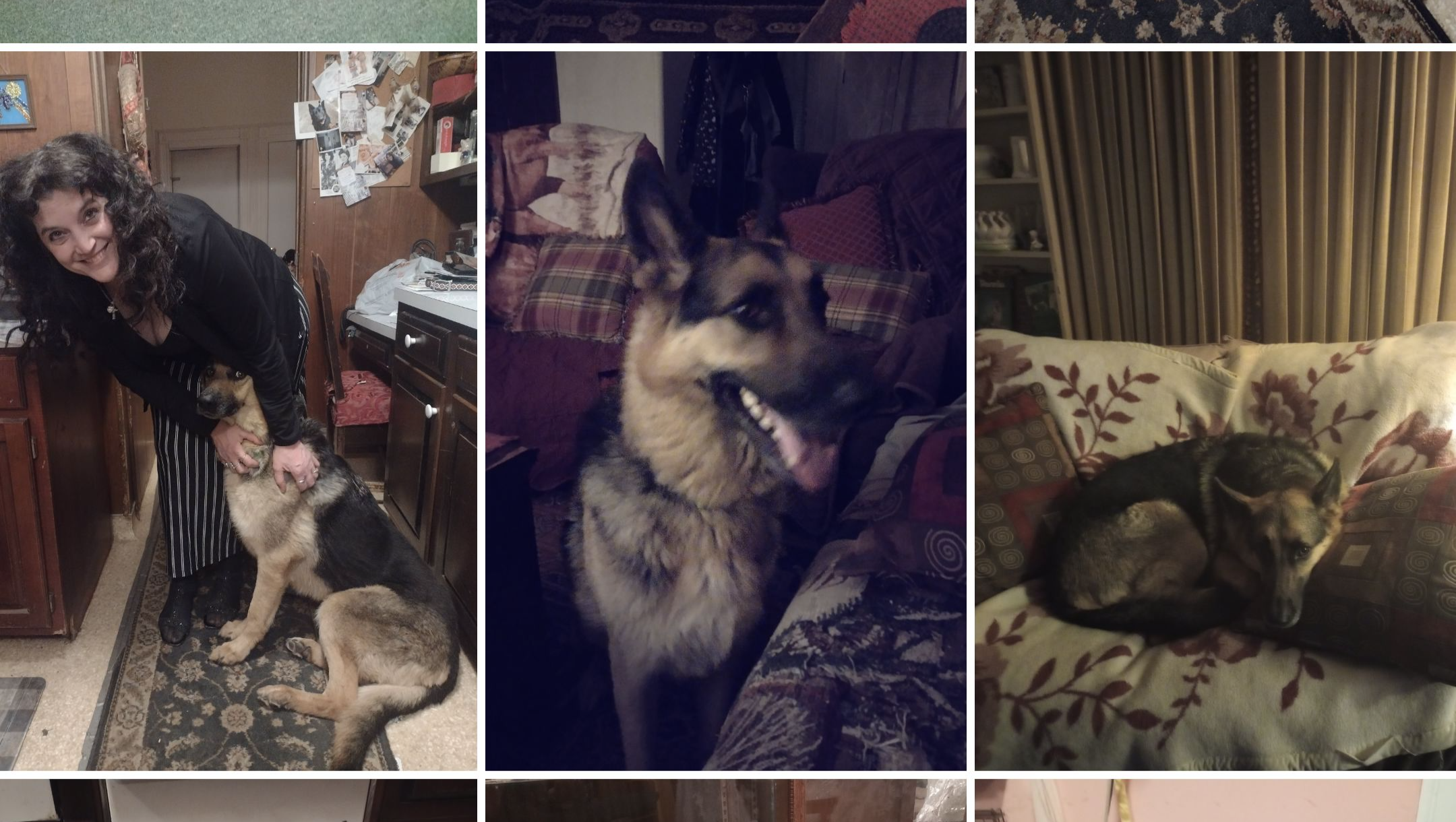 Fundraiser by Gina Penzarella : Support Bello's Urgent Medical Care
