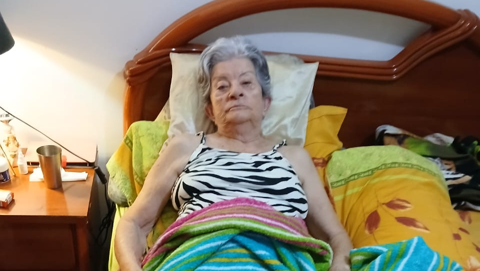 Fundraiser by Lisseth Rojas : Ayudemos a Minerva