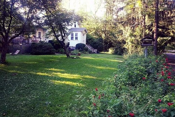 Fundraiser by Amanda Fallat : Poppy's House