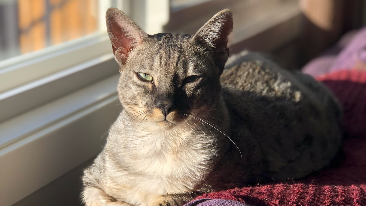 Fundraiser by Jennifer Bacon : Hope for Dante: Support His Recovery Journey