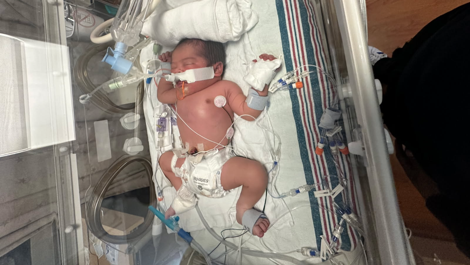Fundraiser for Greta Barrera by Nelly Ramirez : In Loving Memory of Baby Noah