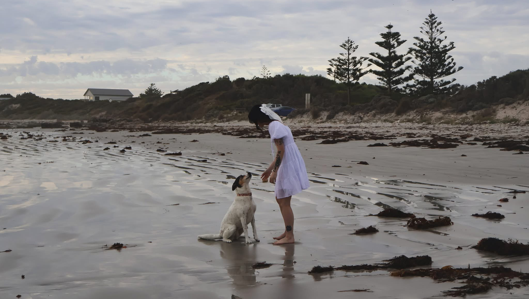 Fundraiser by Leah Macfarlane : Help me cover my overdue rent