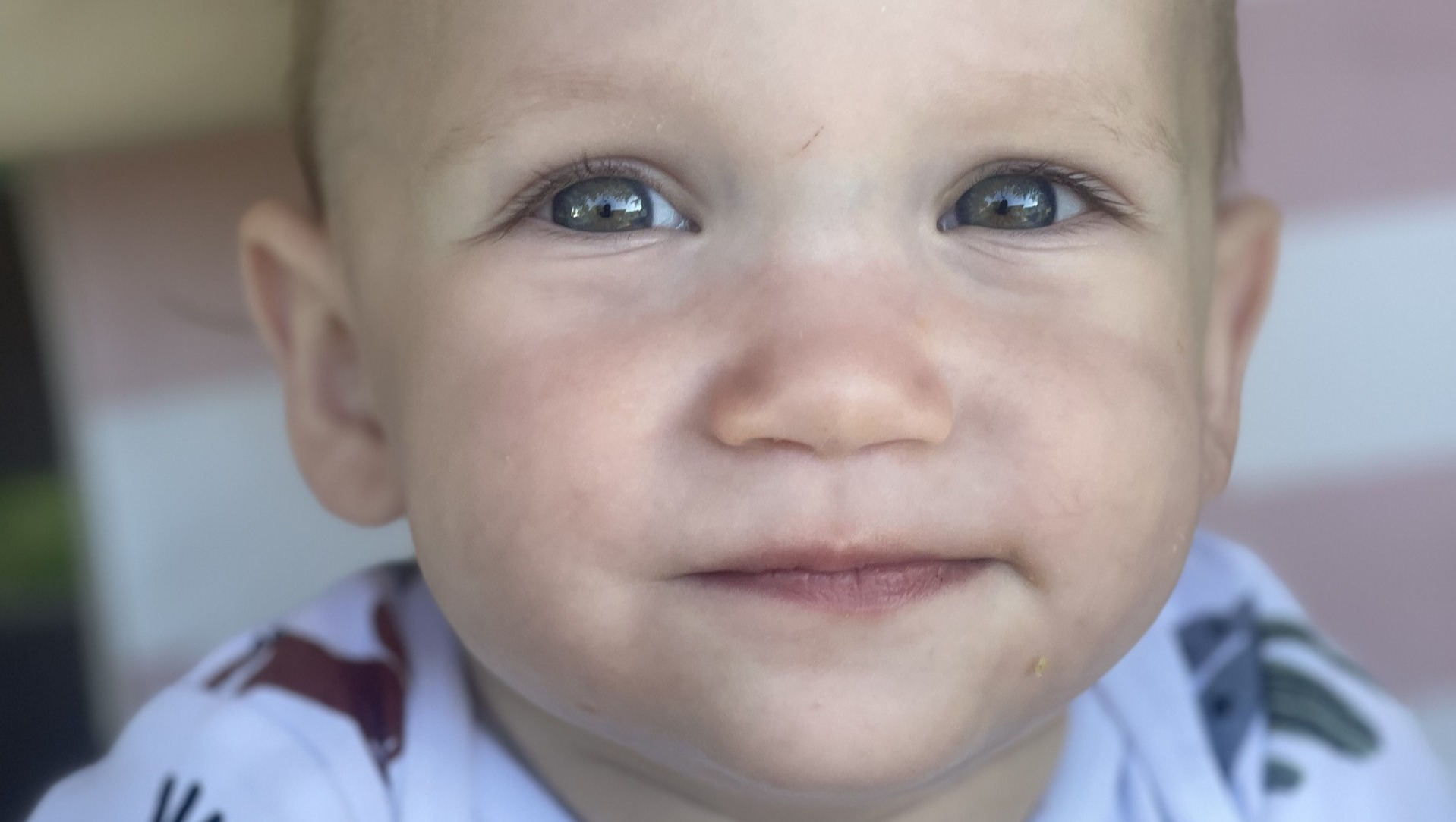 Fundraiser for Jordan Springer by Kerry Thoryk : Please help Ledger and ...