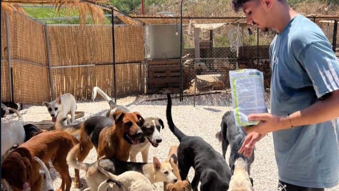 Fundraiser by Rescuing Souls : Rescuing, treating, and caring for stray ...