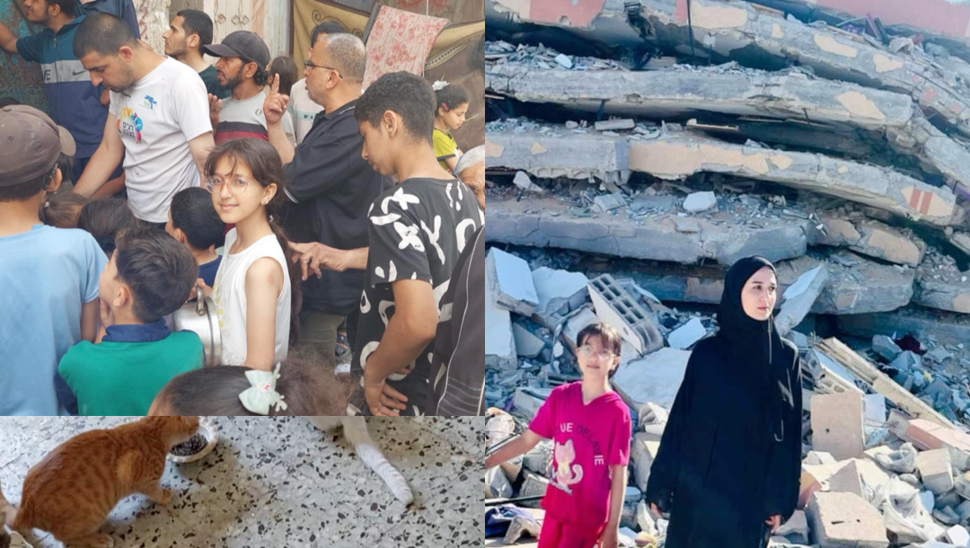 Fundraiser by Hamza Hamad : "For Samar and Batoul — Hope Amid Gaza’s ...