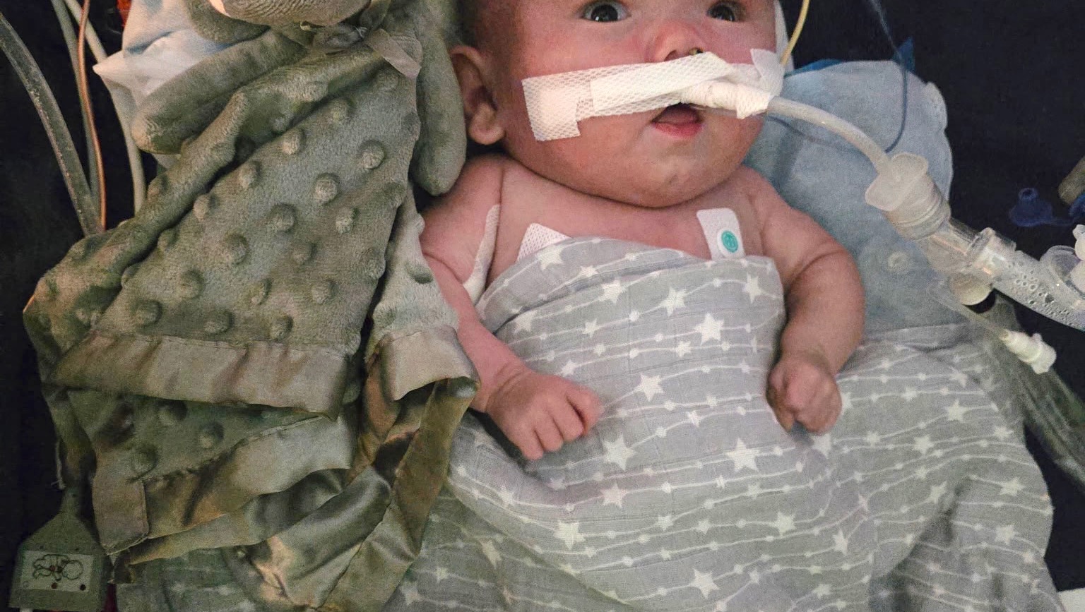 Fundraiser by Jacklyn Anderson : Supporting Julia & Brady as they Stand ...