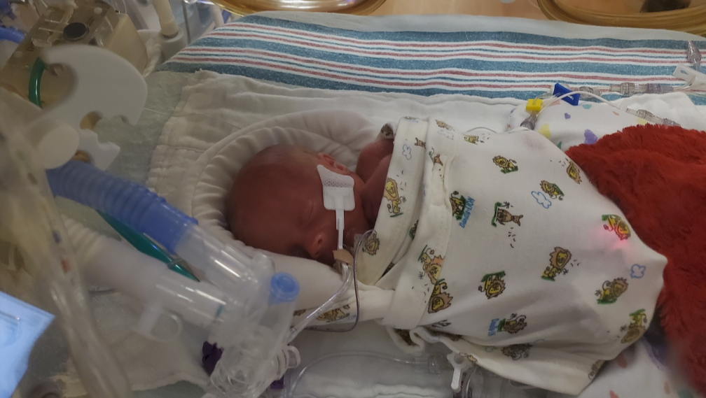 Fundraiser by Georgette Chervenak : Baby Odin