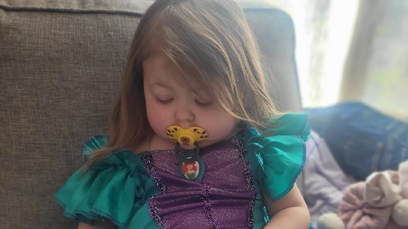 Fundraiser by Kayla Bursey : Willow