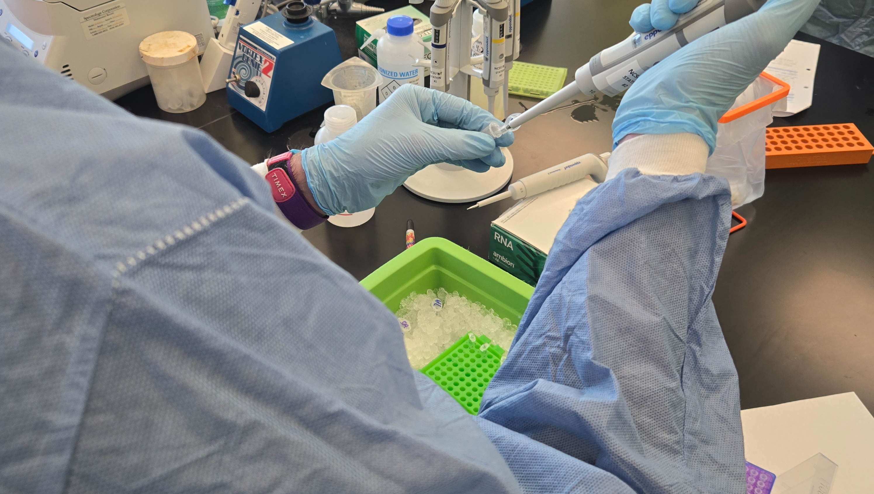 Fundraiser by Darby Orcutt : Science Without Boundaries