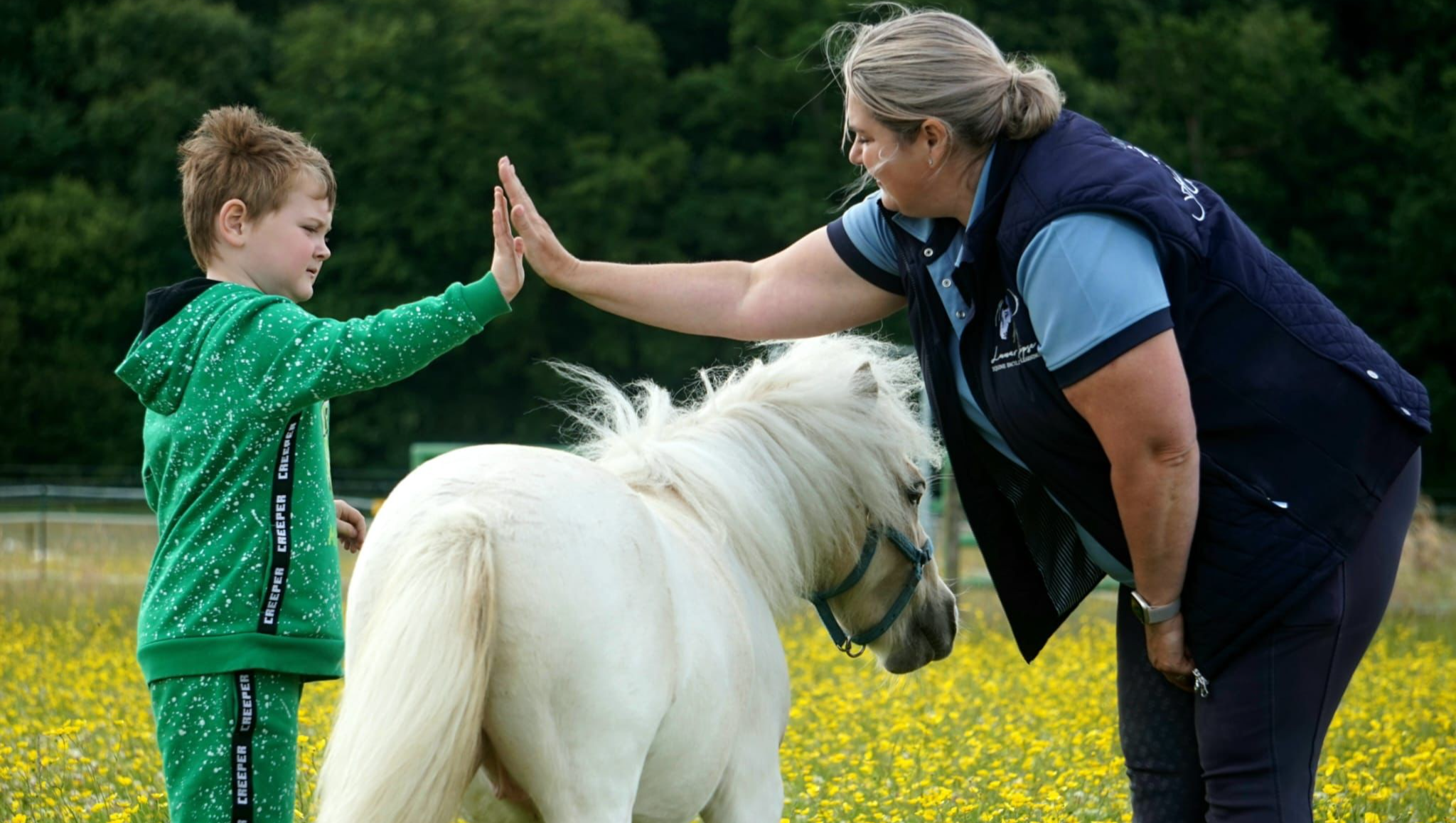 Fundraiser by Cherene Robertson : Support Lunar Eclipse Scotland's Healing Therapy Horses