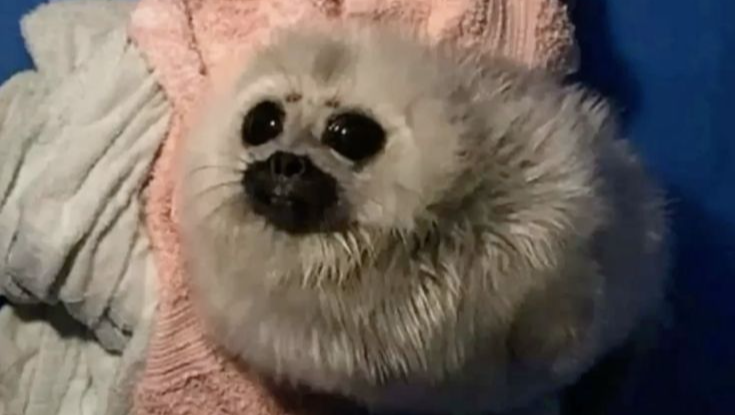 Fundraiser for Nick Goodson by Sam Bailey : Get Nick an Apartment