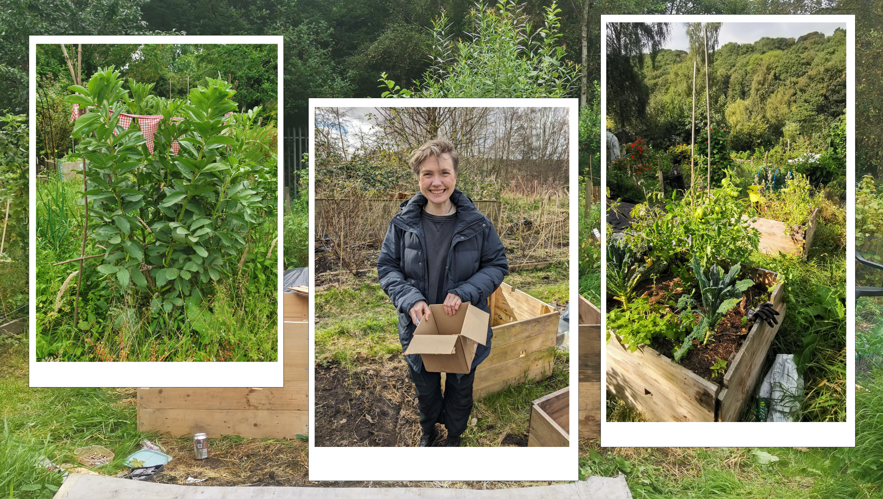 Fundraiser by Hannah Hull : Poetry Potting Shed!