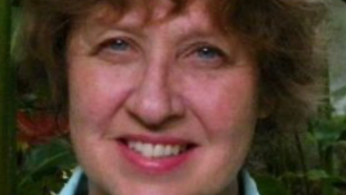 Fundraiser for Susan Holowecky by Devin Dykas : Support Susan Holowecky ...