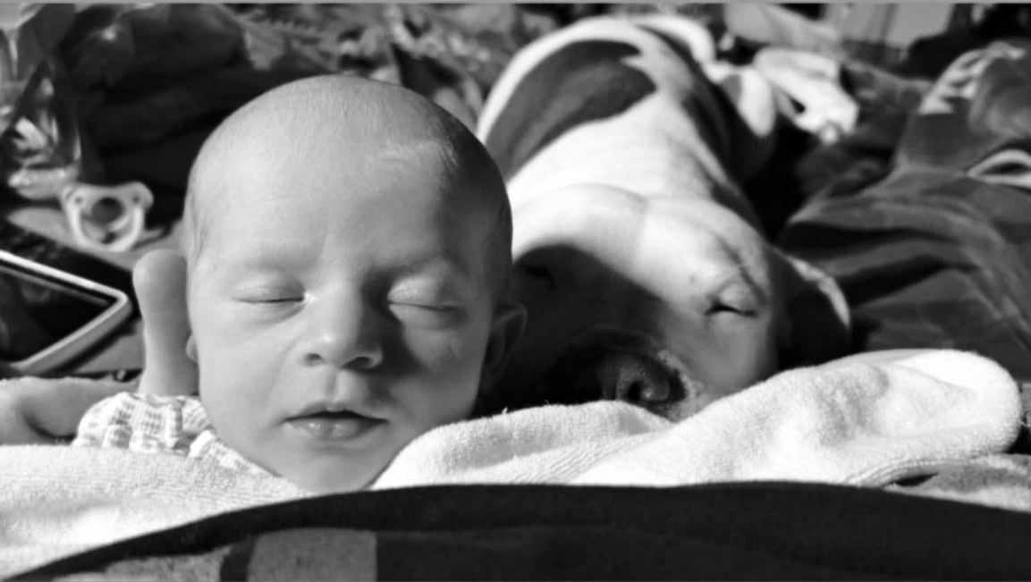 Fundraiser for Skye Carney by Ashley Nieves : Help Skye and Cameron Lay ...