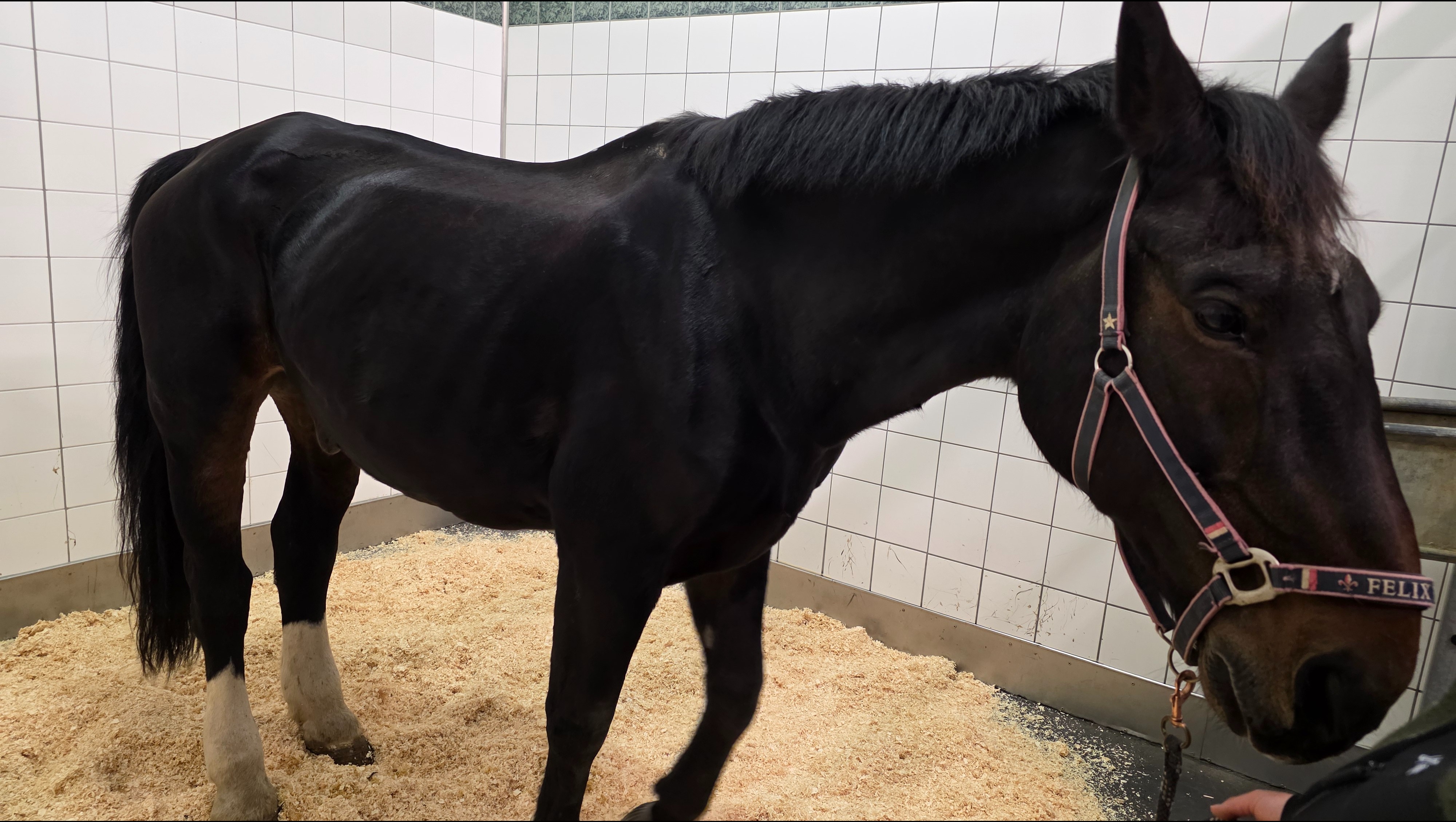 Fundraiser for Jeremy Braun by Janine Fritzsche : Bitte helft unseren Ulan