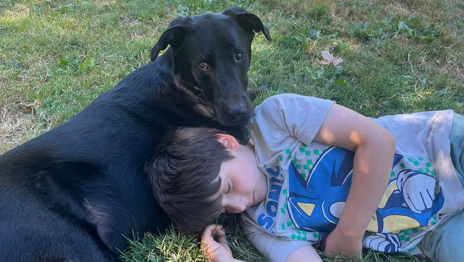 Fundraiser by Serenity Clark : Save Fry: Help Our Beloved Family Dog