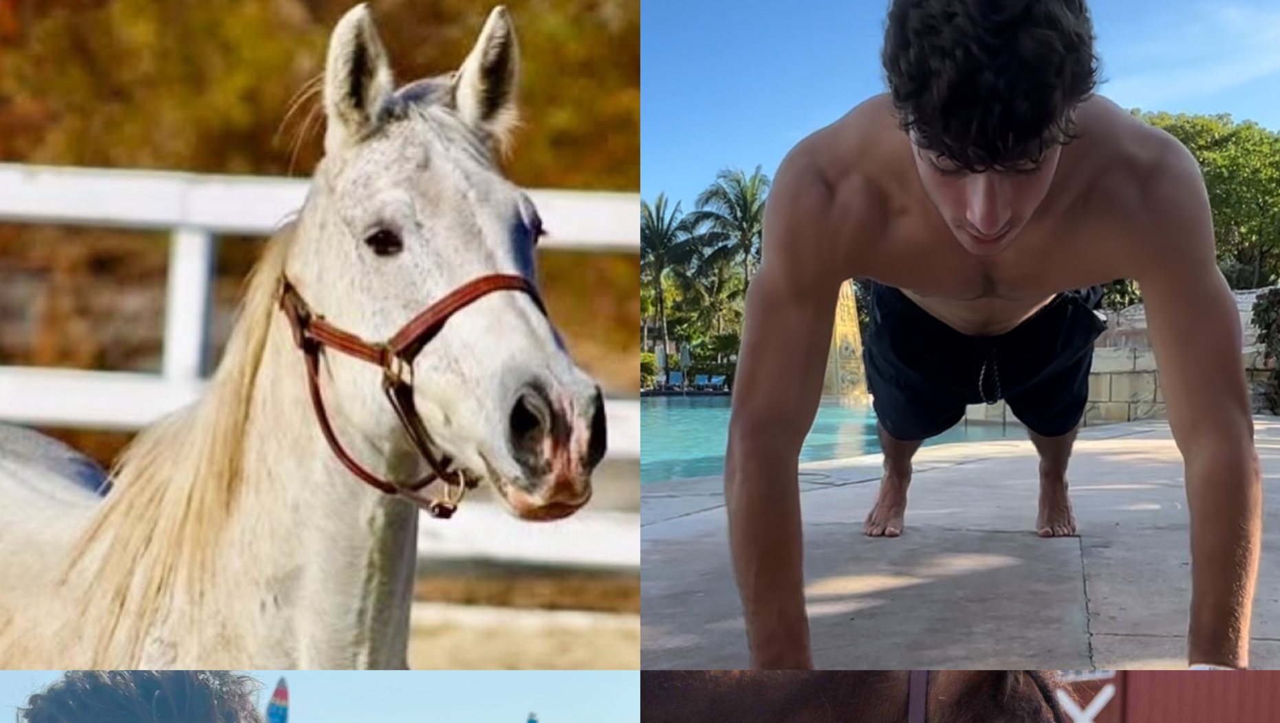 Fundraiser by Dylan Hoffman : Support Green Chimneys' Life-Changing Work