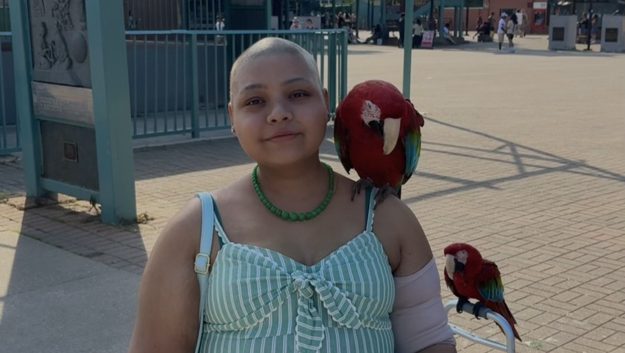 Fundraiser by Daniel Mendez : Honor Jennifer Mendez: Support Her Final Wish