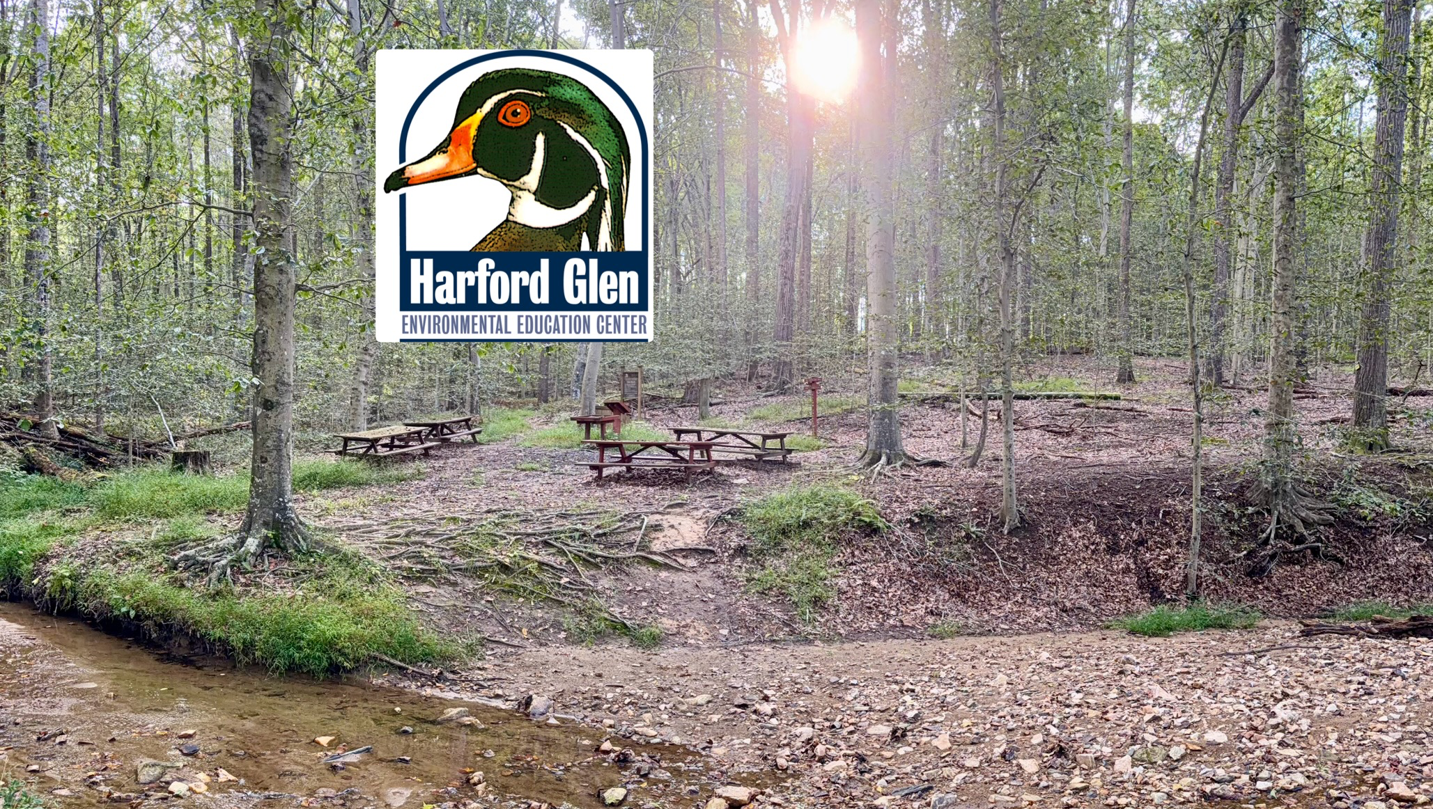 Fundraiser by David Sulkowski : Support Tyler's Eagle Scout Service ...