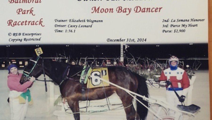 Fundraiser by Elizabeth Wegmann : Help Elizabeth Rescue Moon Bay from ...