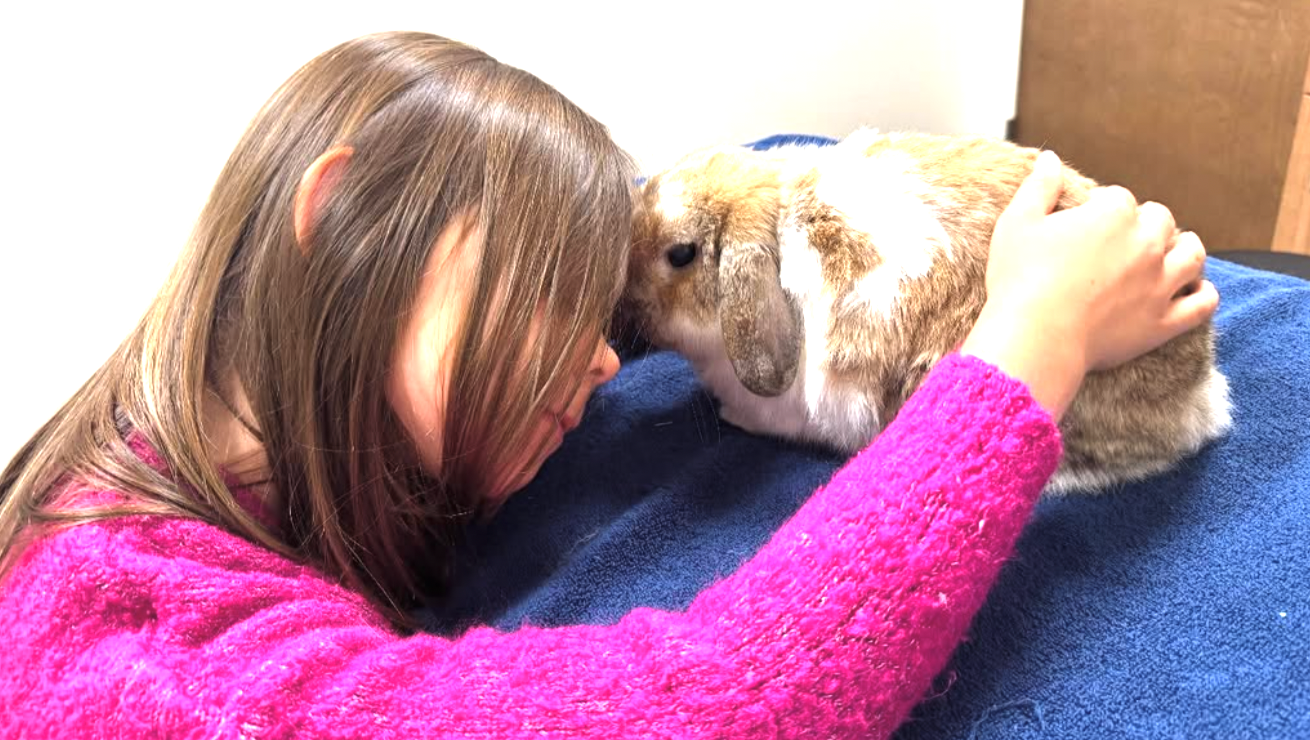 Fundraiser by Tiffany Gagnon : Support Ravioli's Eye Surgery Journey