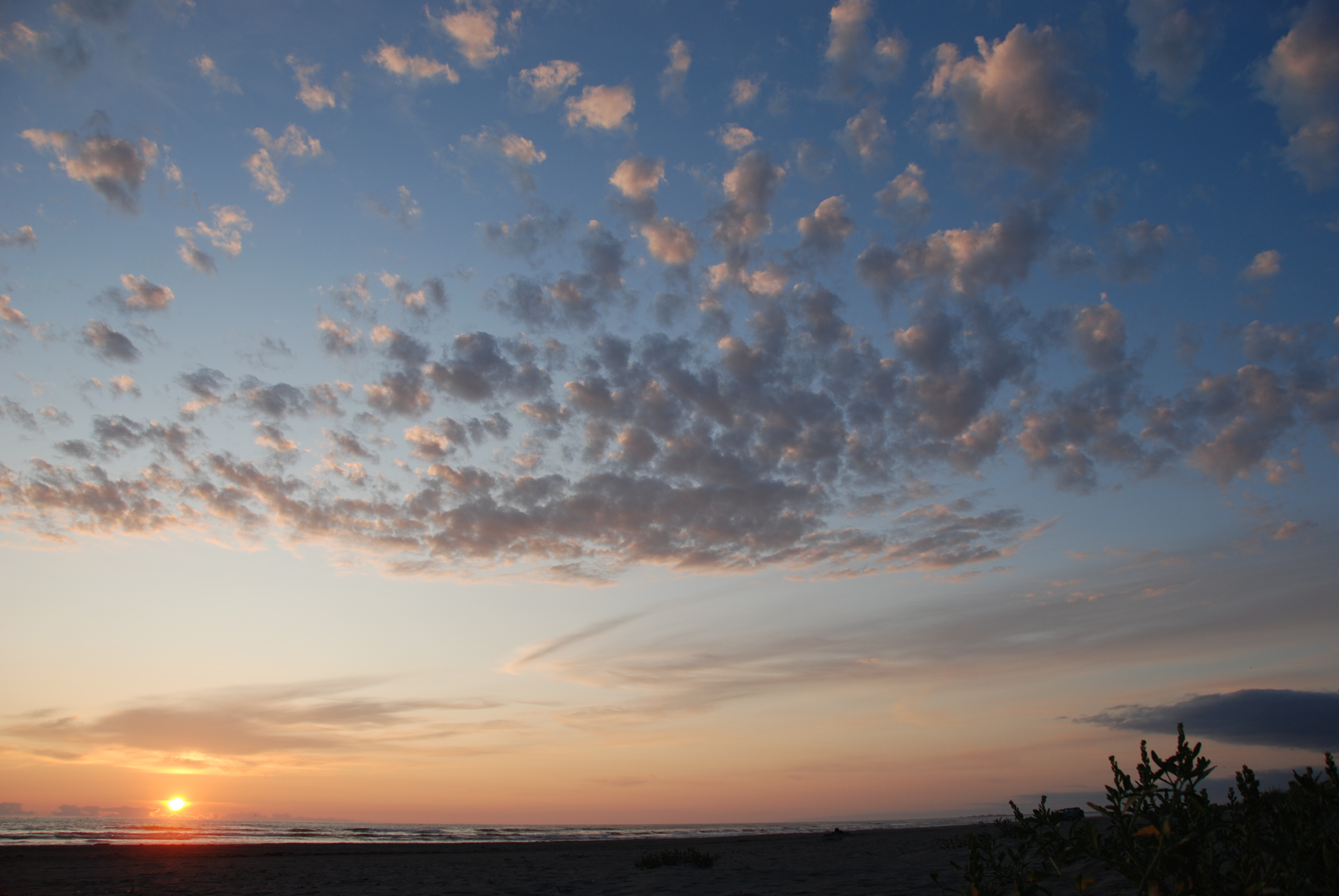 Fundraiser by Anna Richmond : Stand with Carly Rasmussen