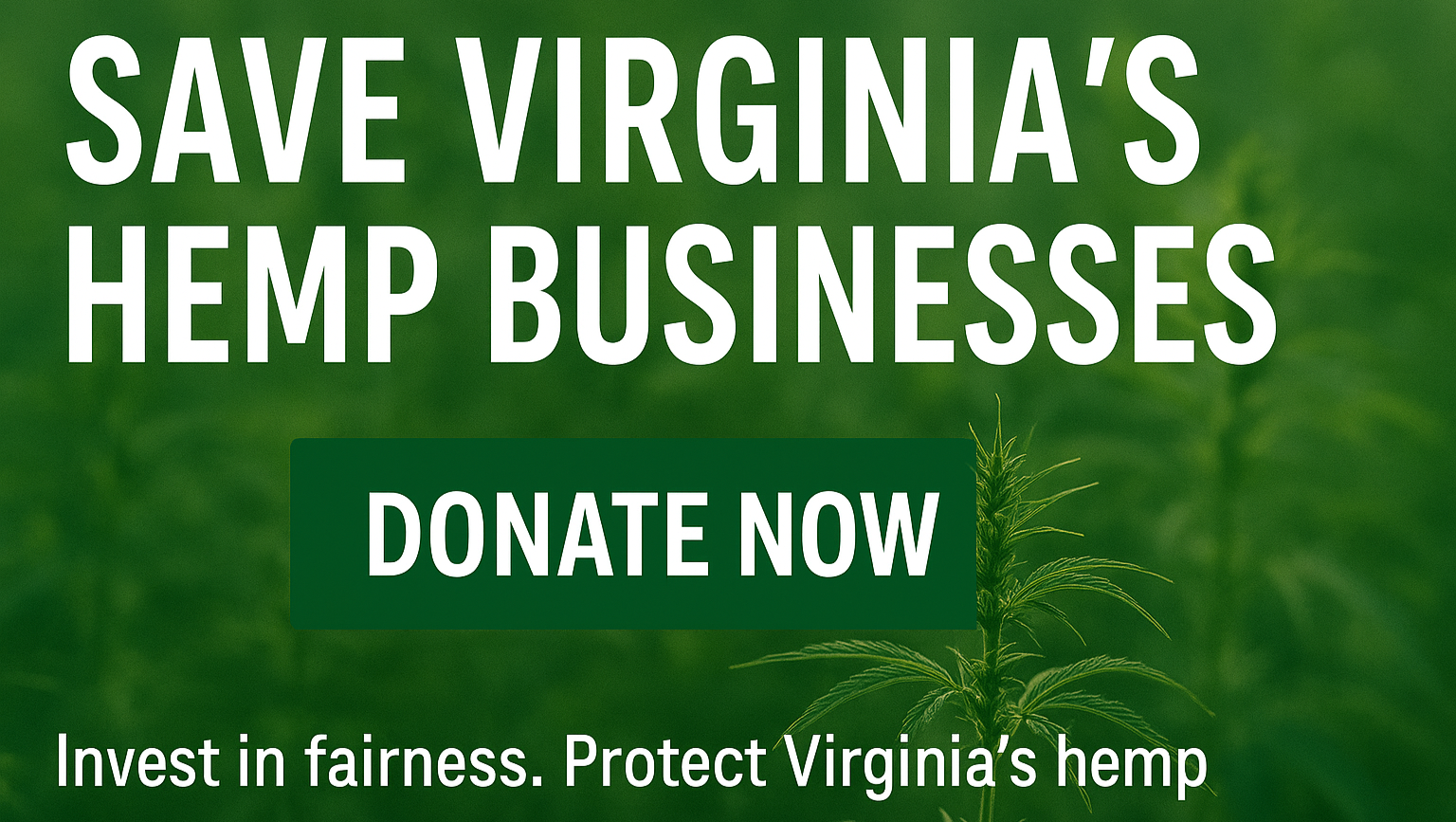 Fundraiser by Barbara Biddle : Protect Virginia's Small Hemp Businesses